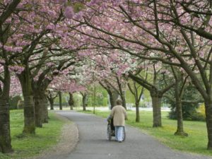 Natural death follows a progression of symptoms | Sanford Health News
