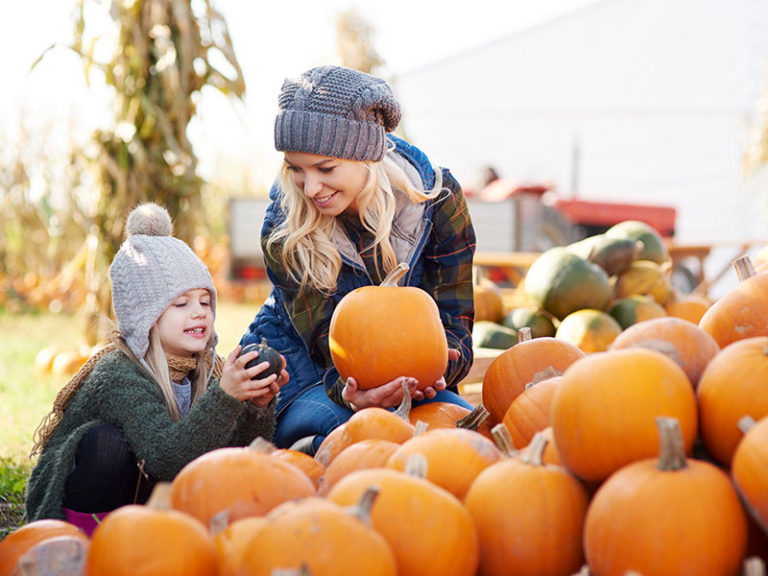 Decisions, decisions: Offering your preschooler choices - Sanford ...